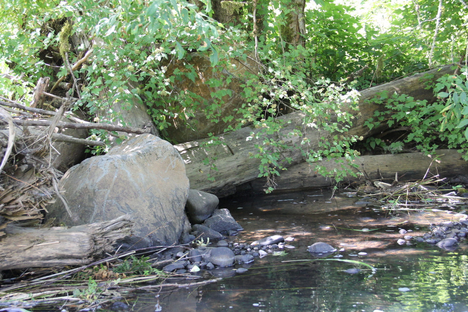 Projects – Ecological Engineering, LLC