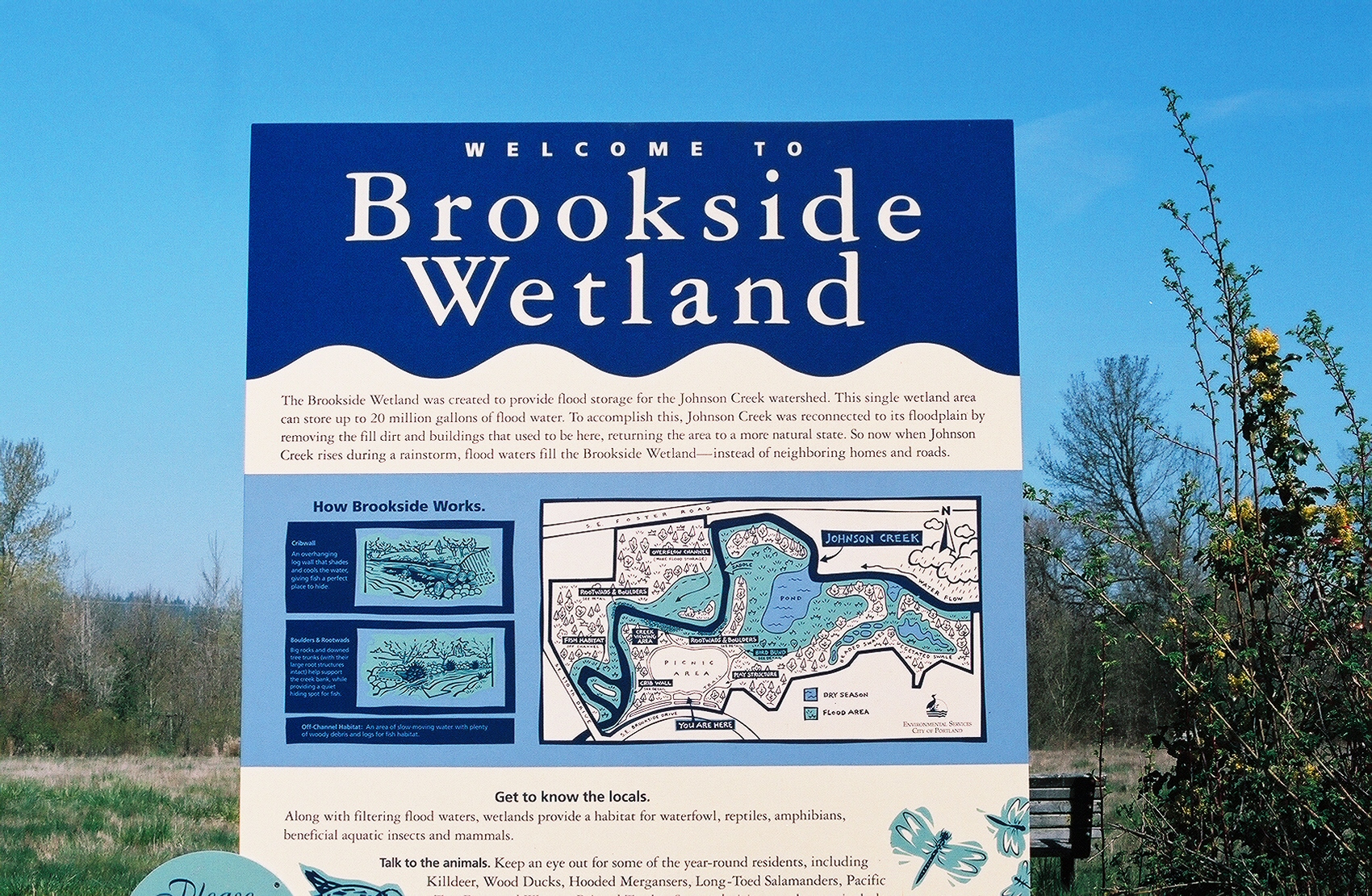 City of Portland, Oregon, Stream and Wetland Restoration – Portland ...