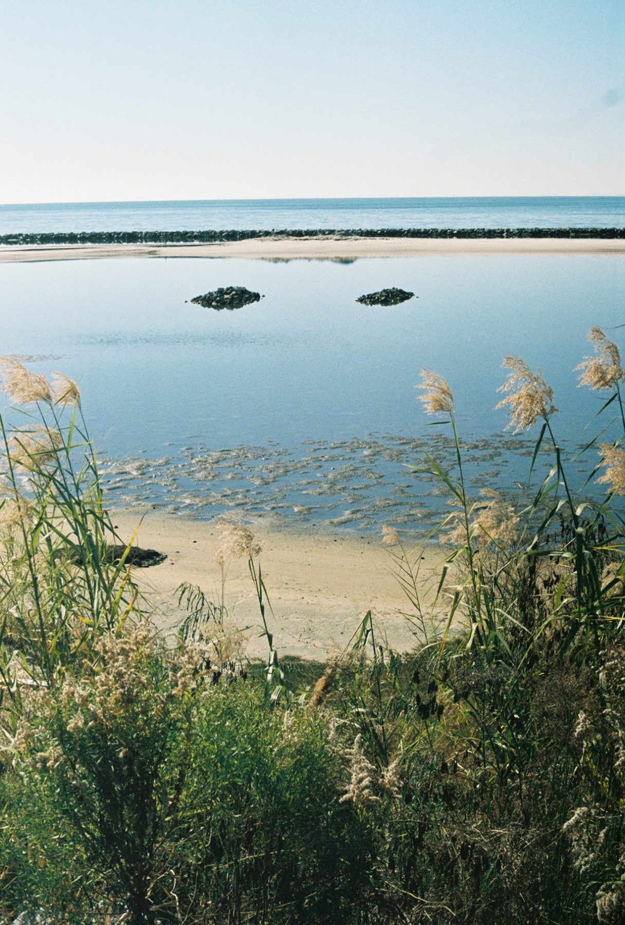 Projects – Ecological Engineering, LLC