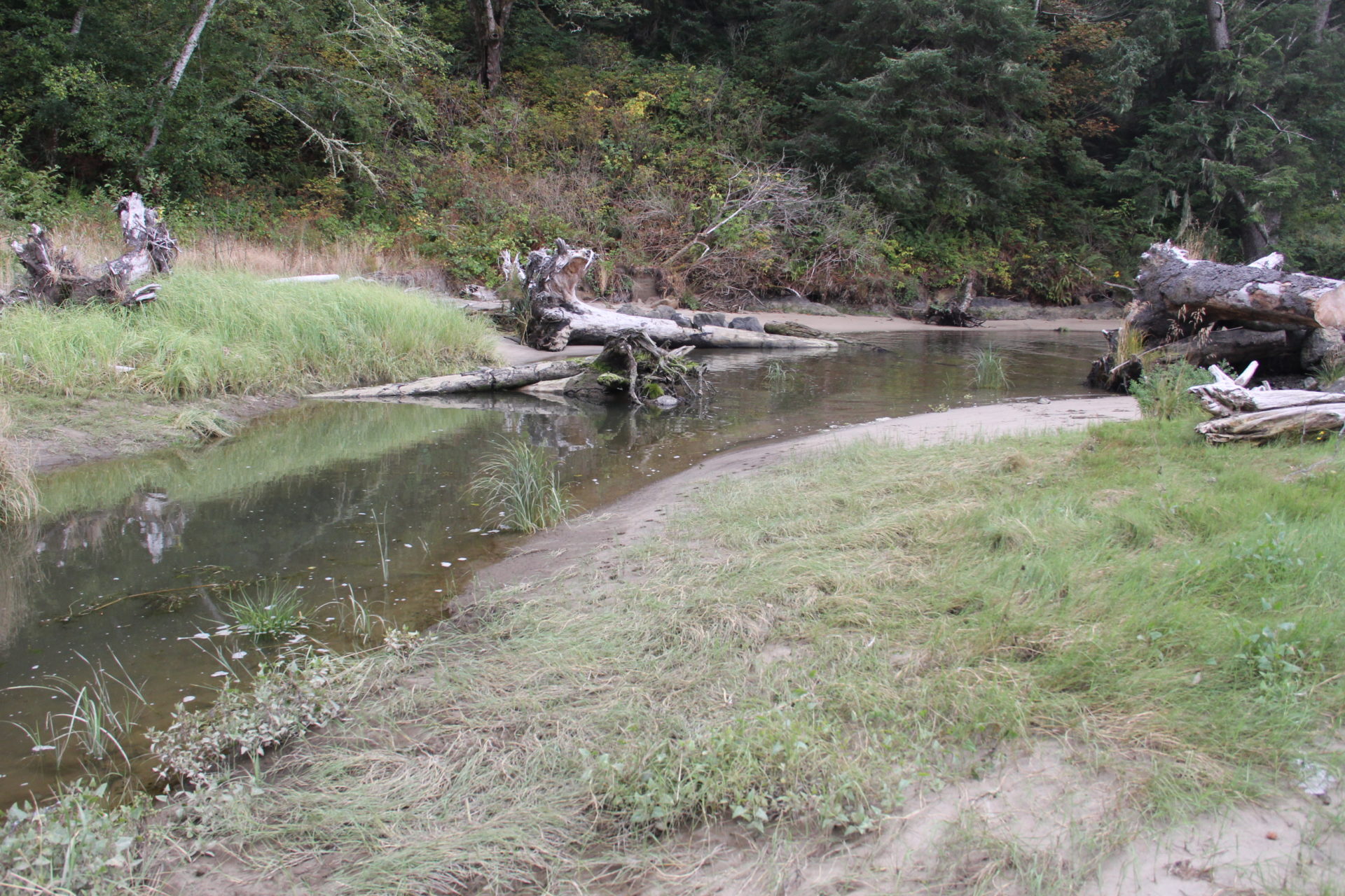 Fish Passage – Ecological Engineering, LLC