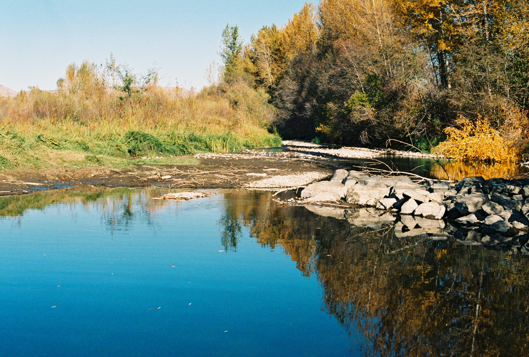 Projects – Ecological Engineering, LLC