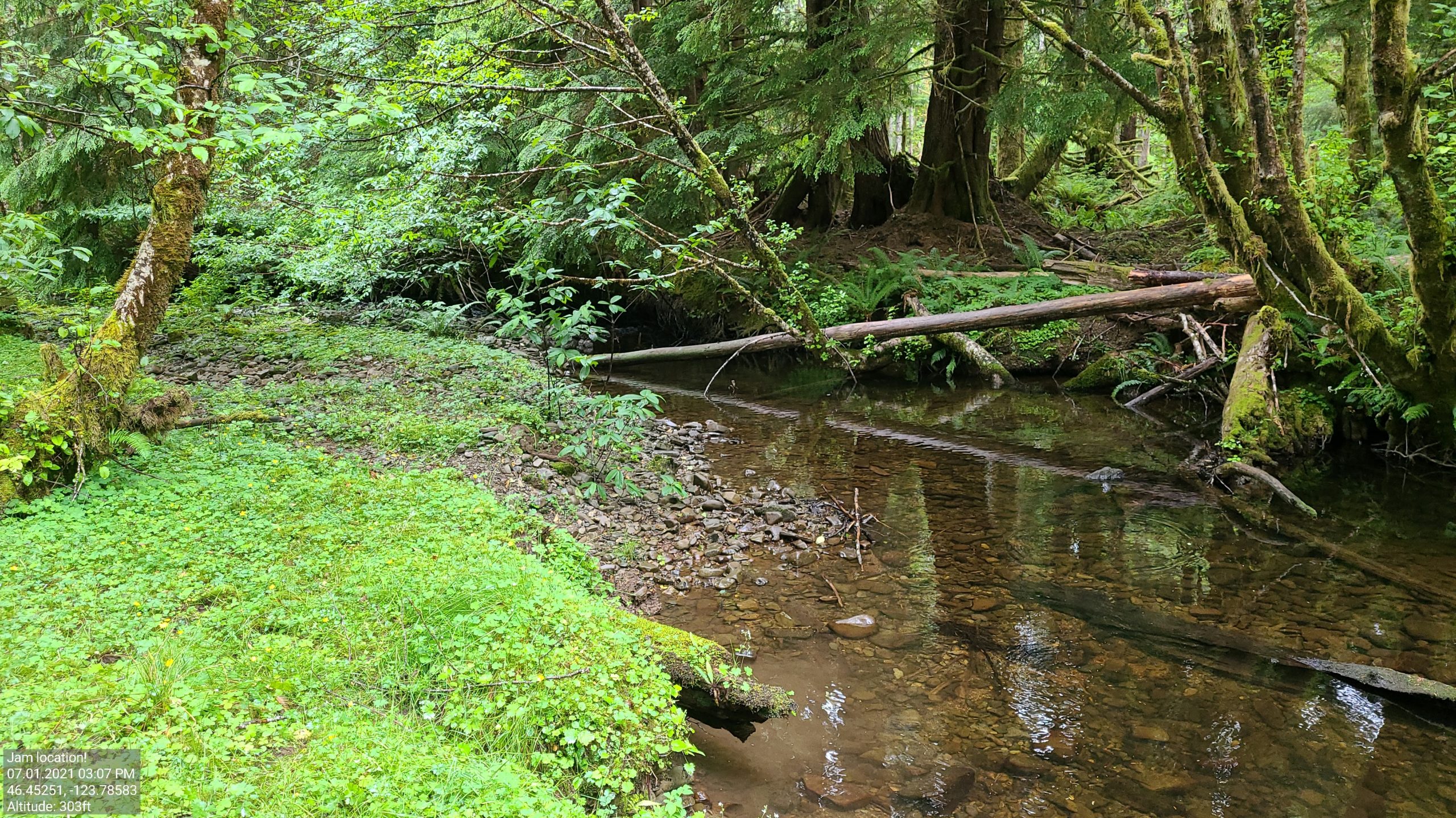 Projects – Ecological Engineering, LLC